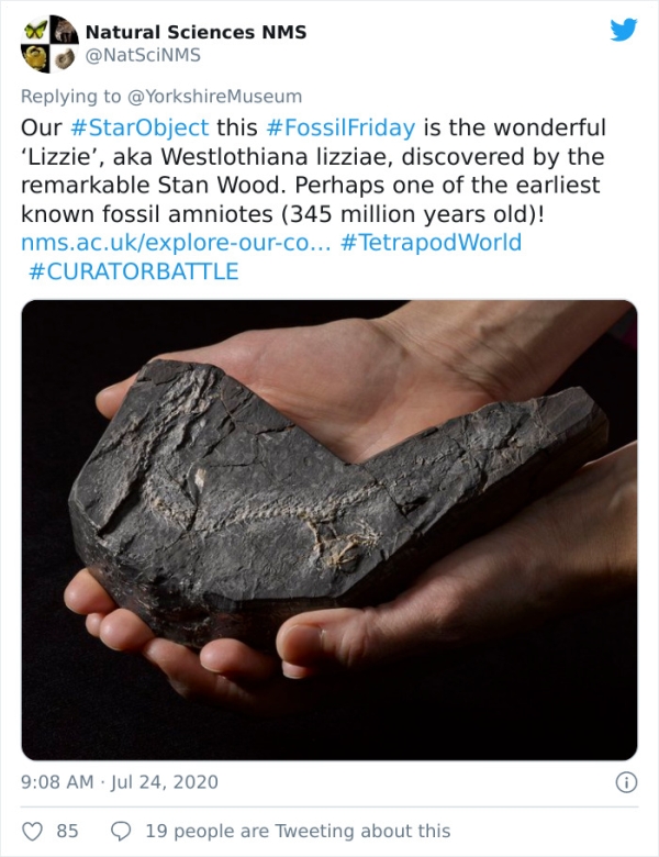 Thank You Captain Obvious Have This Rock