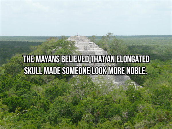 Fascinating facts abut Ancient Mayans