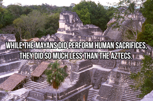 Fascinating facts abut Ancient Mayans