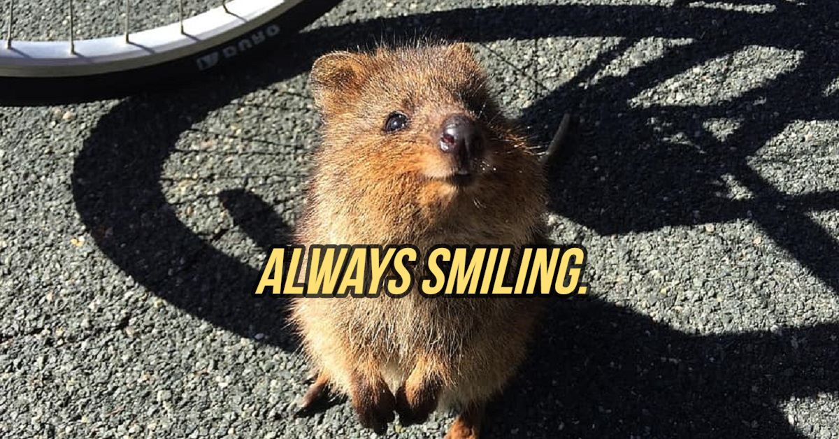 Combat CREEPY facts with 25 HAPPY facts