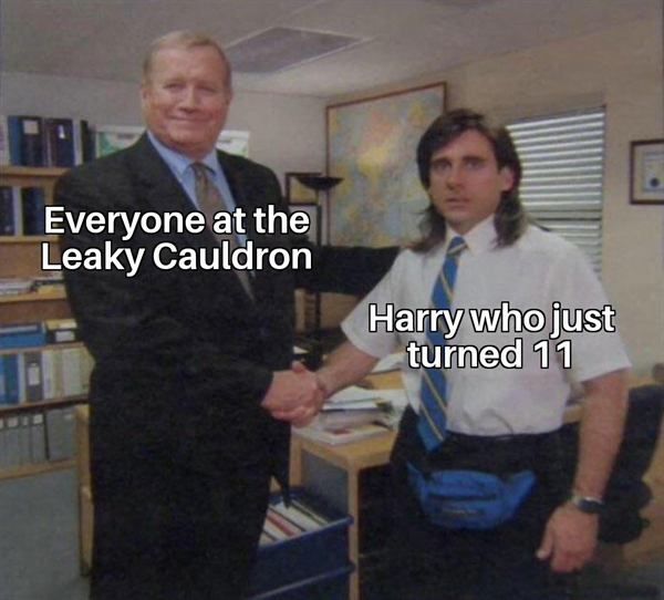 Harry Potter Memes for some Weasleys Wizard Wheezes