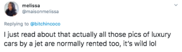 Influencer girls caught red-handed using fake private jet (18 Photos)