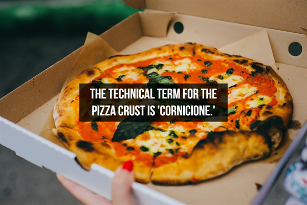 Order-in a cheesy delivery of PIZZA facts