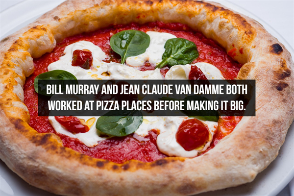 Order-in a cheesy delivery of PIZZA facts