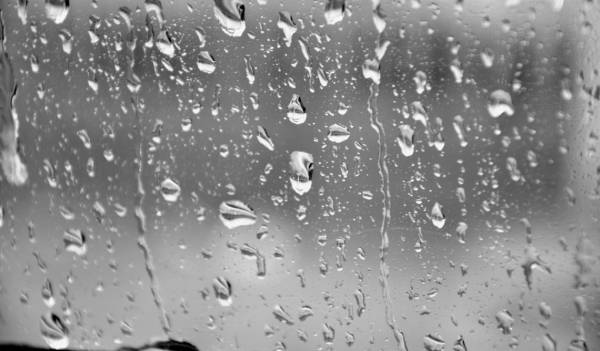 Random Objects Photography