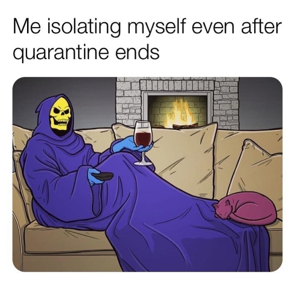 Cancel all your plans for these introvert memes (30 Photos)