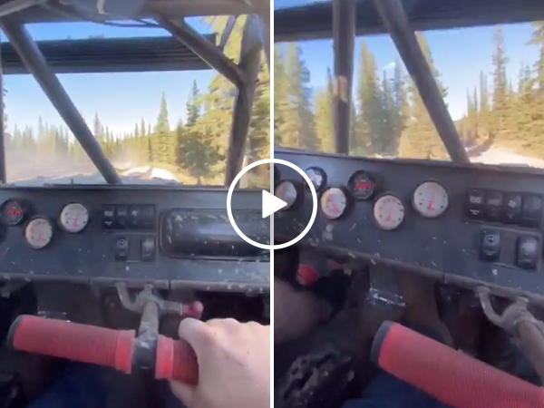 Forest racing is crazy! No wonder the passenger has a holy s**t handle