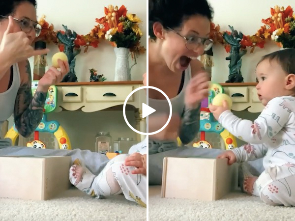 Babies learning sign language is our only weakness (Video)