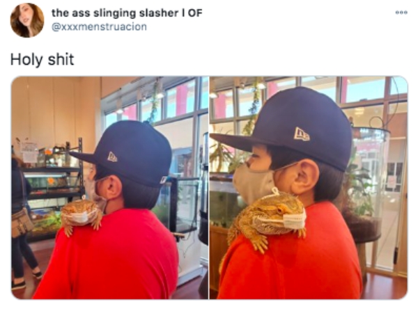 Uh that's the funniest f*#king thing I've seen all week (38 Photos)