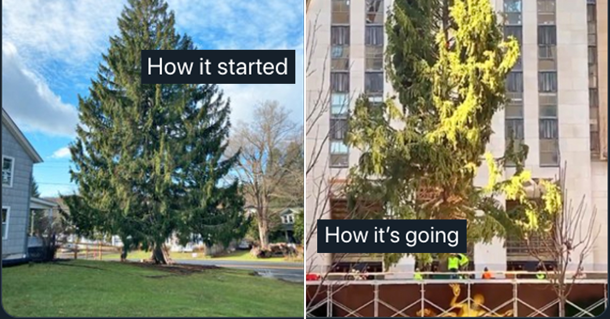 The Rockefeller Center Christmas Tree looks so bad 2020 is impressed