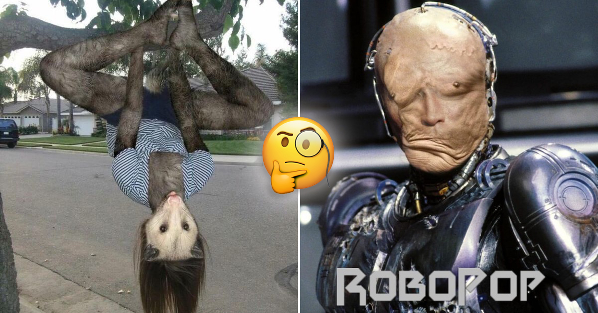 Hilarious and downright bizarre Photoshopped images are