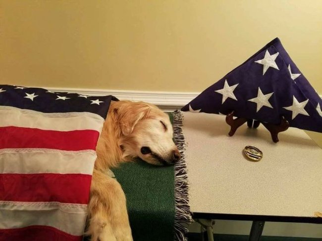 Cops Tribute Photos Thanksgiving 2020 Police Human Heroes Pictures