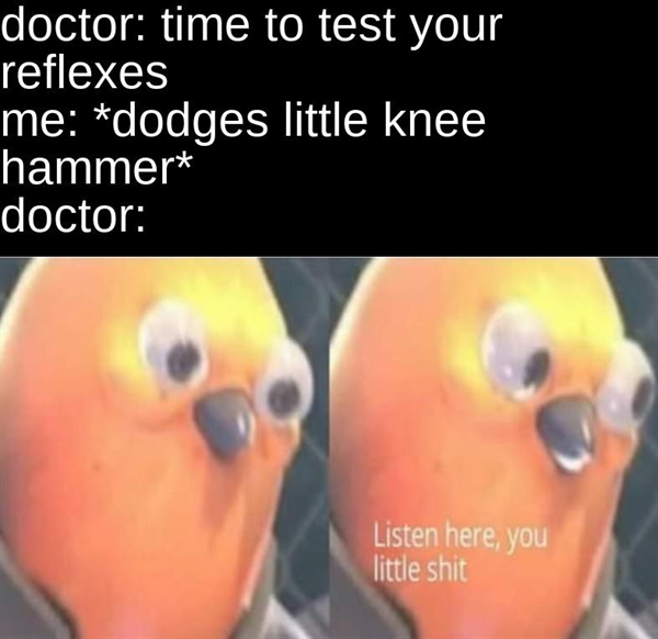 Top notch dank memes coming in hot