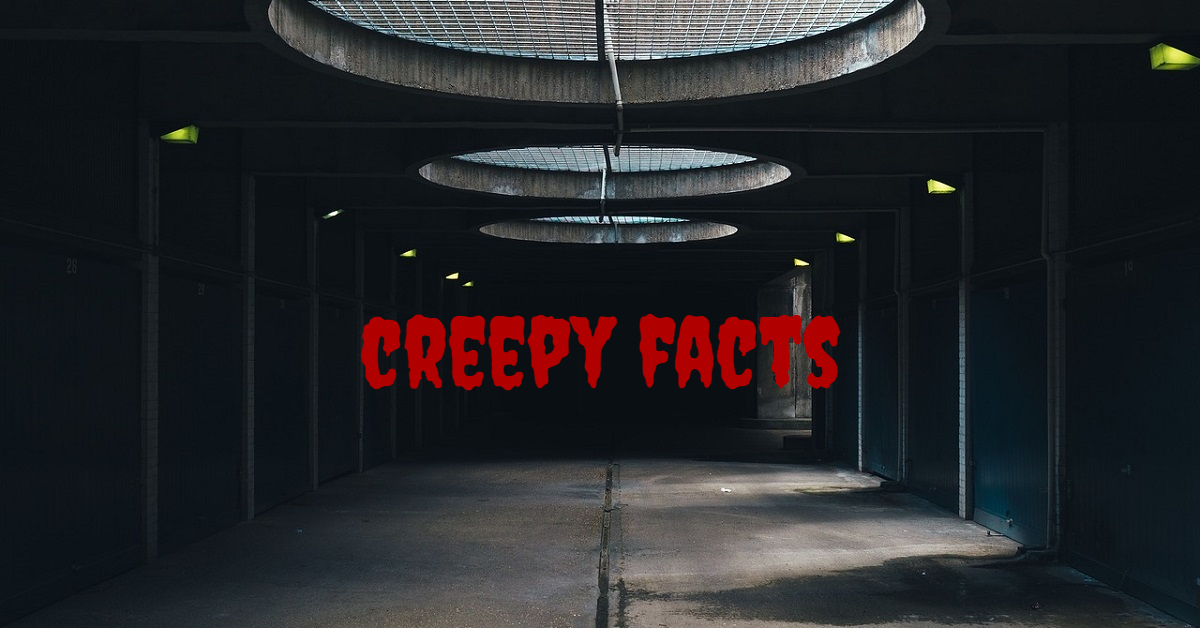 Cold Sweats, Dark Alleys & Creepy Facts