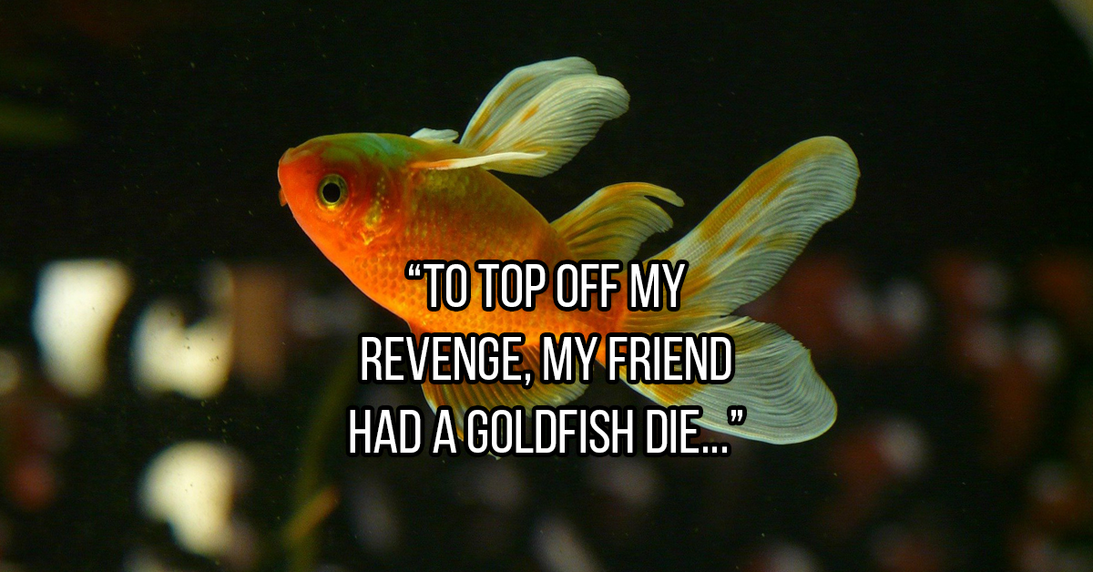 Stepfather + Claiming stepson’s car = Petty revenge