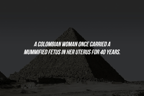 Dark & Terrifying Creepy Facts