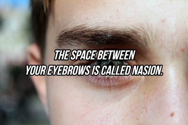 Eye-opening facts about... eyes