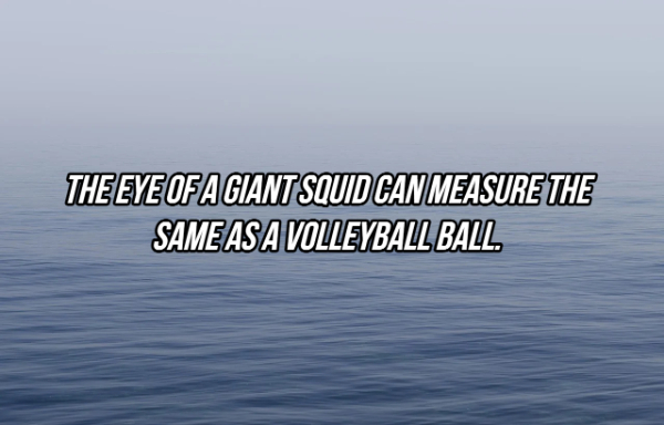 Eye-opening facts about... eyes