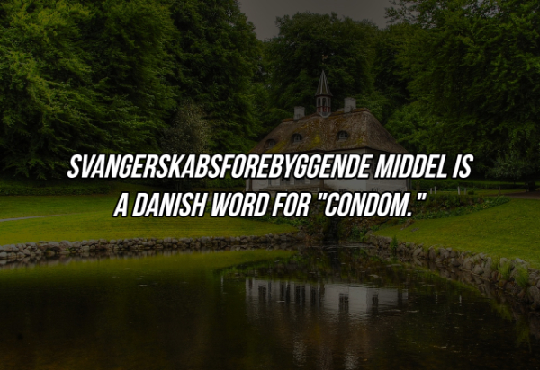 Funny facts are good for a knowledgeable laugh