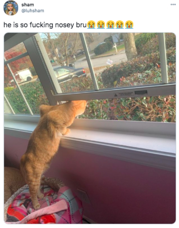 Well that's just the funniest f*#king thing I've seen all week (32 Photos)