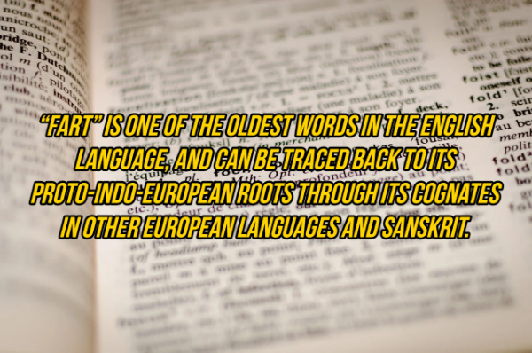 Useless facts keep the brain nice and full