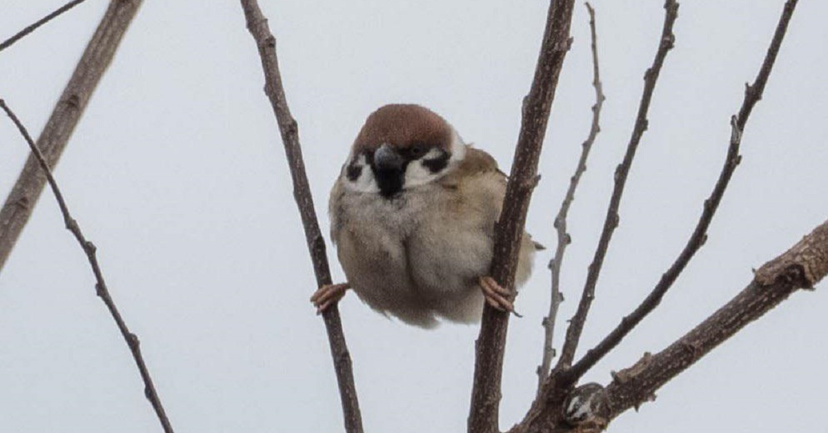 Alright alright alright- that's awesome