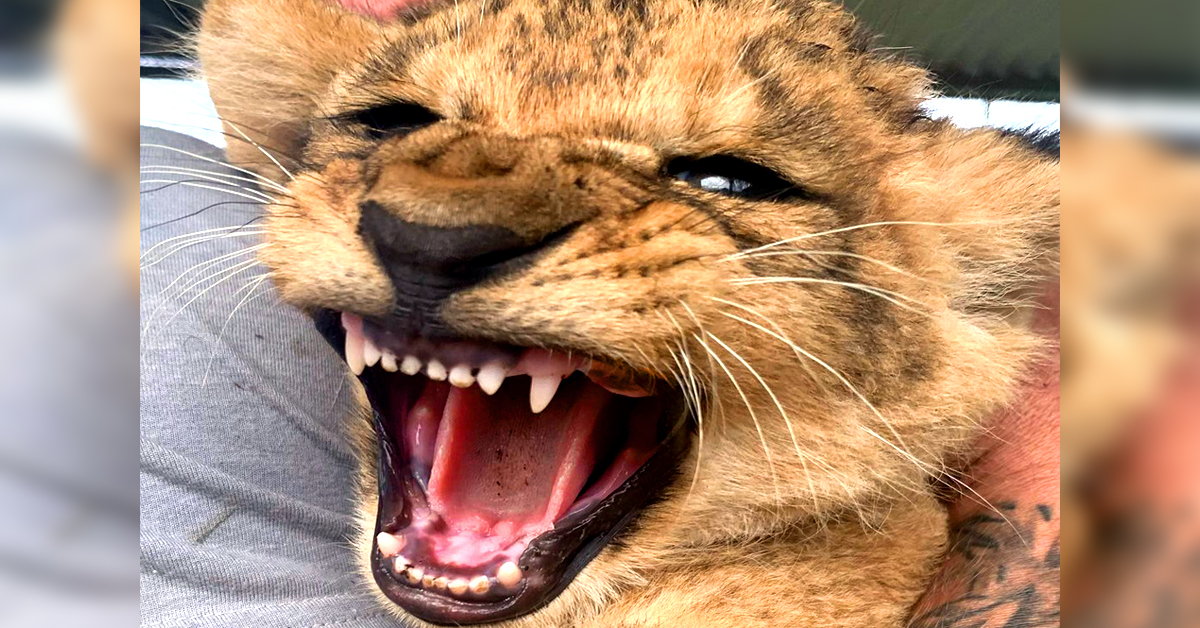 Australian zookeeper shares wholesome pics while on the job (30 Pics)