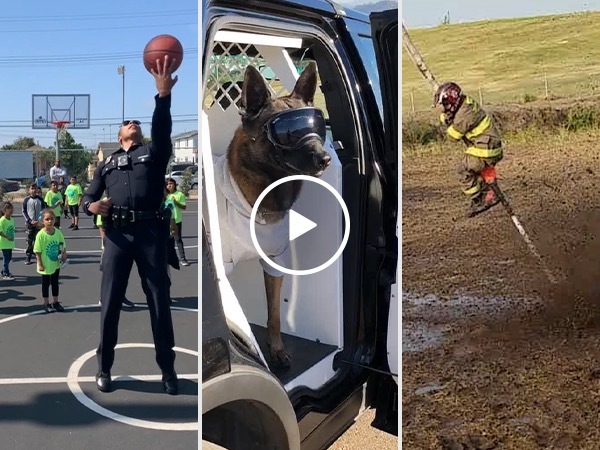 The heroic protective line always goes BEYOND duty (Video)