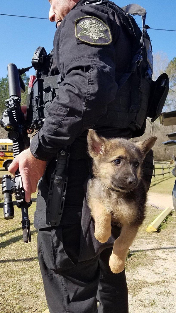 Police Good People Inspirational Service Photos New Best Compilation