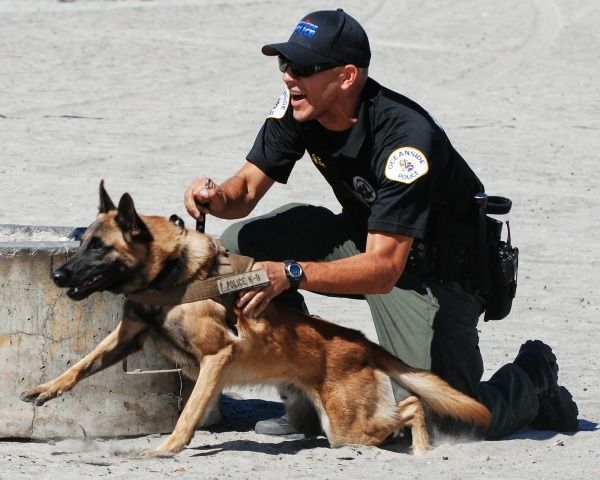 Police Good People Inspirational Service Photos New Best Compilation
