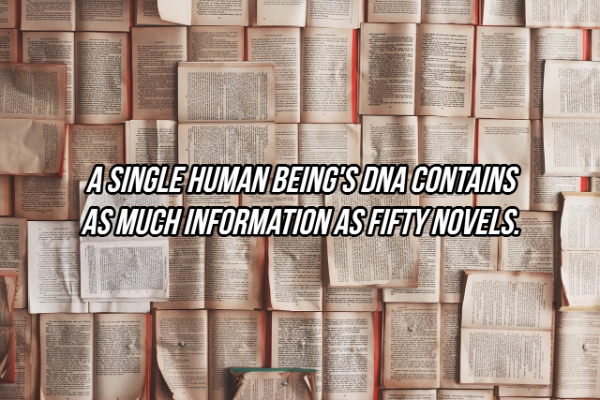 Give me MORE Random Facts!!!