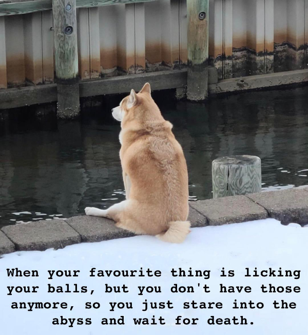 Some top-notch meme dankness for ya