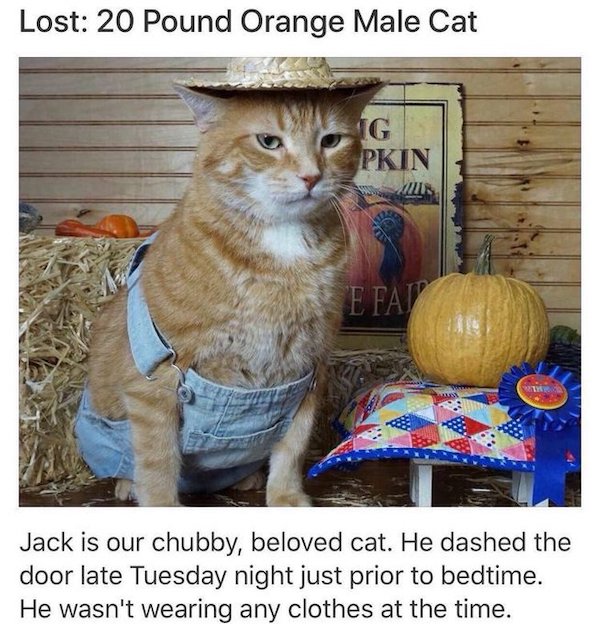 The Insane Neighbors You See On NextDoor...