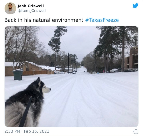 The battle against the Texas 'Snowpocalypse' rages on (41 Photos)