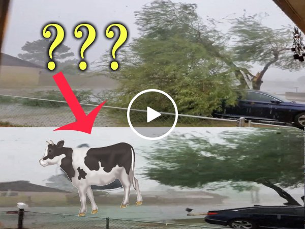 Storm Trampoline Wind Blows Video New 2021 Crazy WTF Fly Across Street