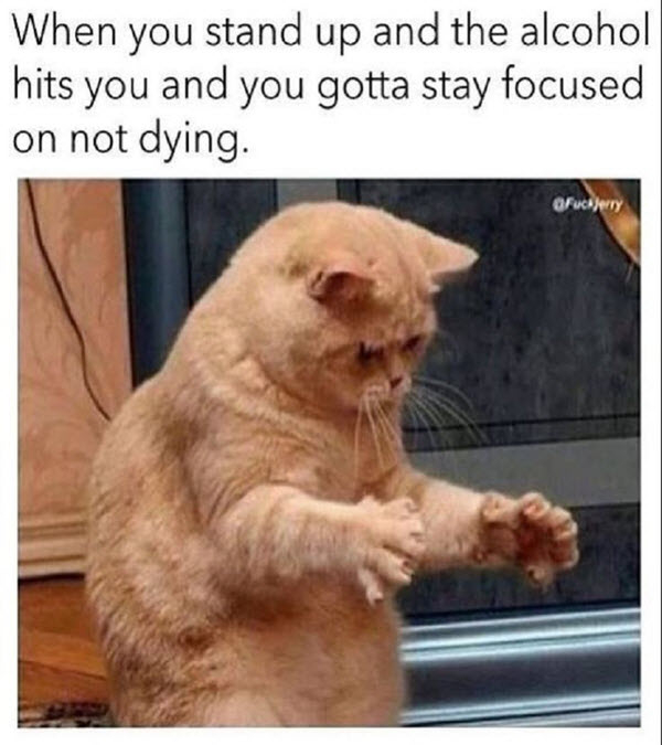 Three shots of boozing memes MY GOOD MAN!