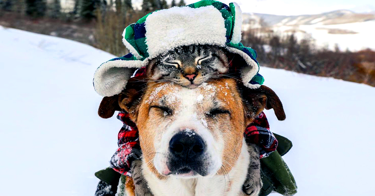 Wholesome pics will make your heart sing (20 Photos) | theCHIVE