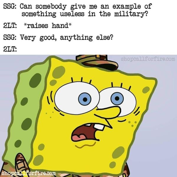 Military Monday Sexy Girls Uniform Photos Fun Humor Chivers Serve Pics