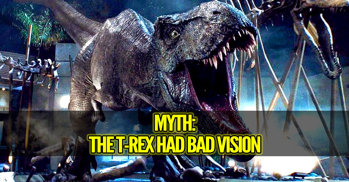 Prepare to have your myths about animals shattered (25 Photos)