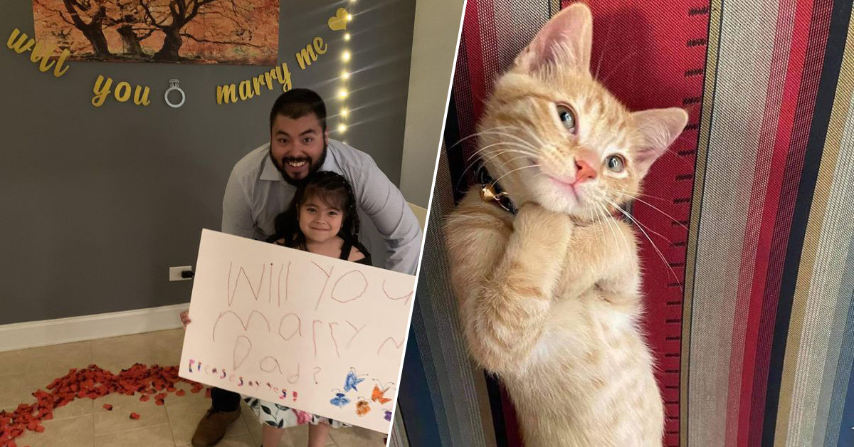 These heartwarming images are what we deserve today