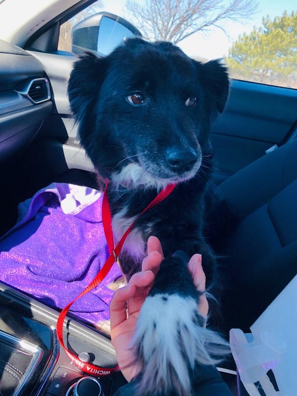 These Awesome Pictures Will Make You Feel Warm And Fuzzy