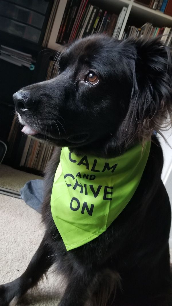 Chive Nation is starting to go out as the world opens up once again!