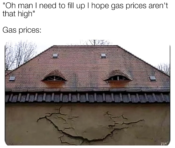 The Danker the Meme the Harder I Laugh