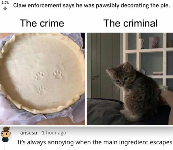 'Cursed comments' will leave you in shock | Humor | theCHIVE