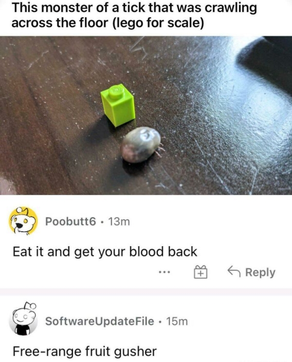 'Cursed comments' will leave you in shock | Humor | theCHIVE