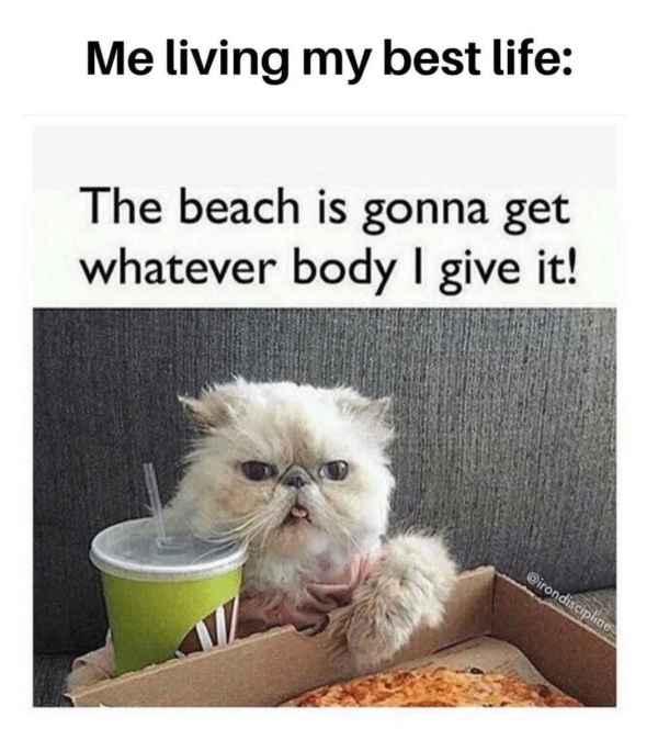 Grab your bikinis, it's beach meme season! (32 Photos)