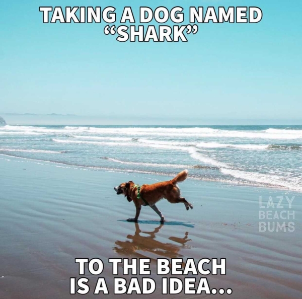 Grab your bikinis, it's beach meme season! (32 Photos)