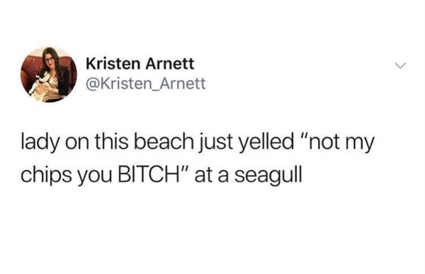 Grab your bikinis, it's beach meme season! (32 Photos)