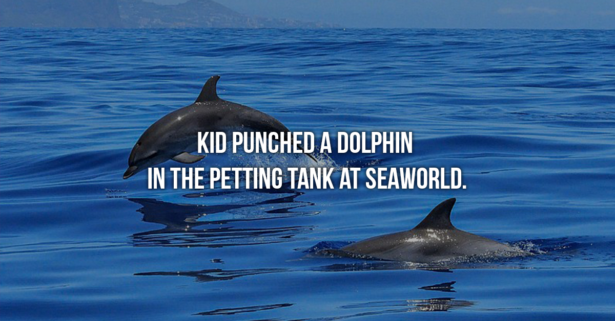 Class field trips always did get a little out of control