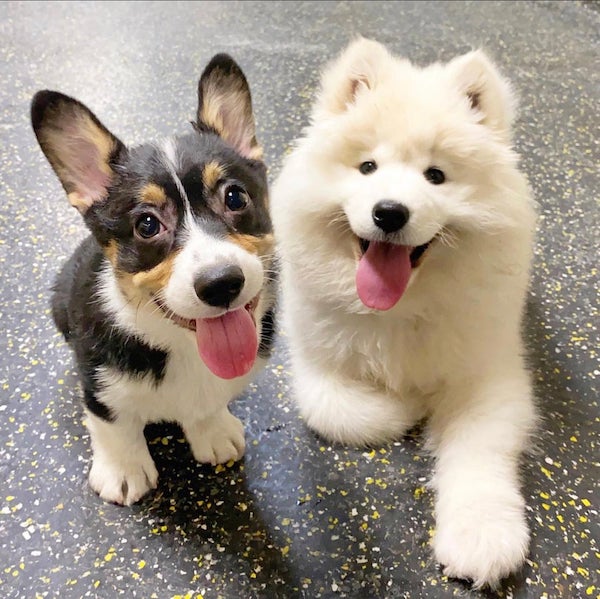 These Awesome Pictures Will Make You Feel Warm And Fuzzy